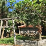 Iriomote Culture Discovery. Indigenous culture on Iriomote Island - A Deep Dive into the Iriomote Culture Discovery Tour