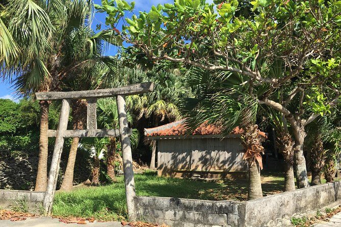 Iriomote Culture Discovery. Indigenous culture on Iriomote Island - A Deep Dive into the Iriomote Culture Discovery Tour