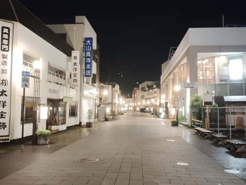 Ise: Guided Bar-Hopping Tour with Food and Drinks - Who Would Love This Tour?