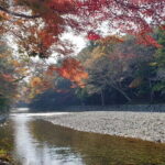 Ise Jingu Half Day Private Tour - The Practical Side: What You Should Know