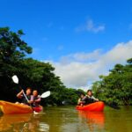Ishigaki Island: 2-Hour Miyara River SUP or Canoeing Tour - What to Expect on the Tour