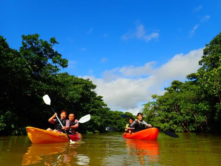 Ishigaki Island: 2-Hour Miyara River SUP or Canoeing Tour - What to Expect on the Tour