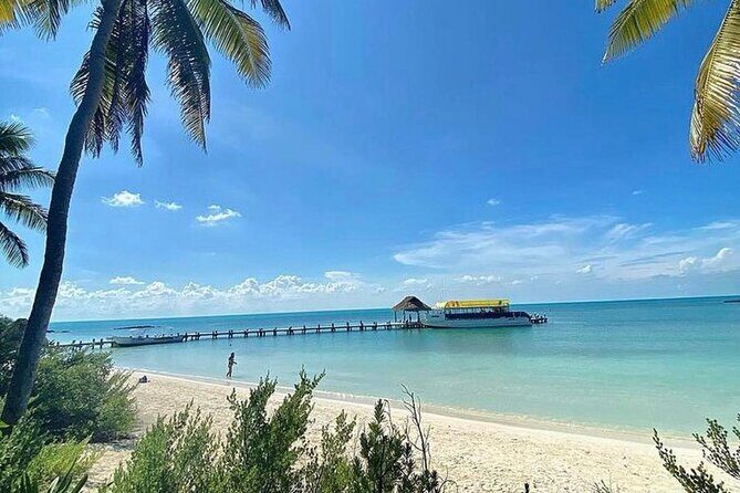 Isla Contoy Adventure Tour & Isla Mujeres from Playa del Carmen - What the Tour Includes and What You Should Know