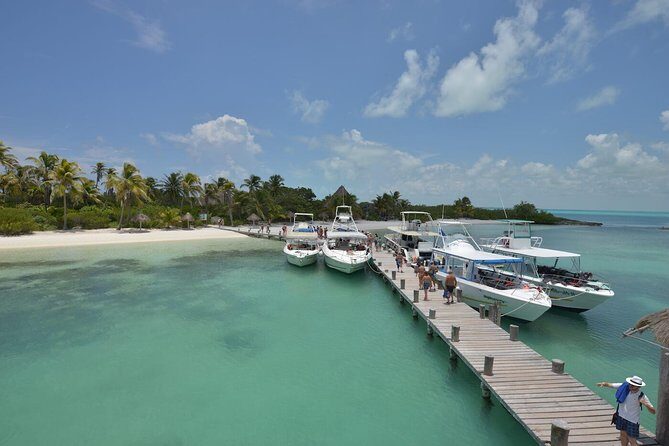 Isla Contoy & Isla Mujeres (from Playa del Carmen) - Why Choose This Tour?
