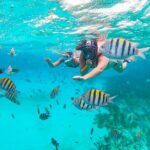 Isla Mujeres and Cancun Snorkeling and Fishing Combo - Practical Considerations