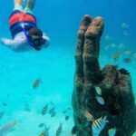 Isla Mujeres Catamaran Tour - Price and Value Analysis