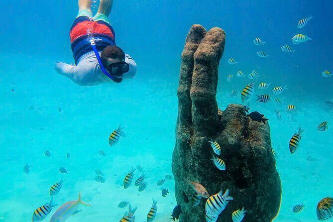 Isla Mujeres Catamaran Tour - Price and Value Analysis