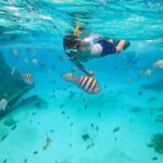 Isla Mujeres Tour, Snorkel and Golf Cart included - Practical Details and Considerations