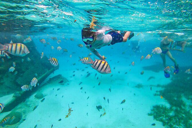 Isla Mujeres Tour, Snorkel and Golf Cart included - Practical Details and Considerations