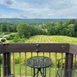 Ithaca to Wine Country Guided Finger Lakes Tasting Experience - Who Will Enjoy This Tour?