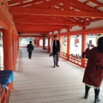 Itsukushima Shrine Tour with Local Guide - Who Should Take This Tour?