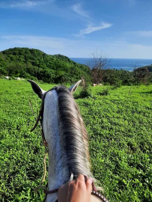Ixtapa-Zihuatanejo: Horseback Riding Tour - Who Should Consider This Tour?