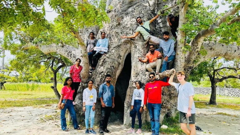 Jaffna: Delft and Nainativu Island Tour with Local Guide - The Sum Up