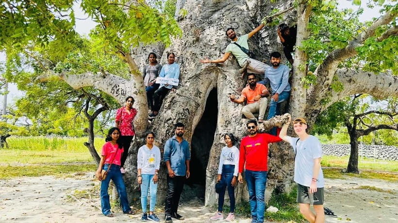 Jaffna: Delft and Nainativu Island Tour with Local Guide - The Sum Up