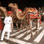 Jaipur: Night Tuk-Tuk Tour With Friendly Local Driver - What Does the Itinerary Look Like?