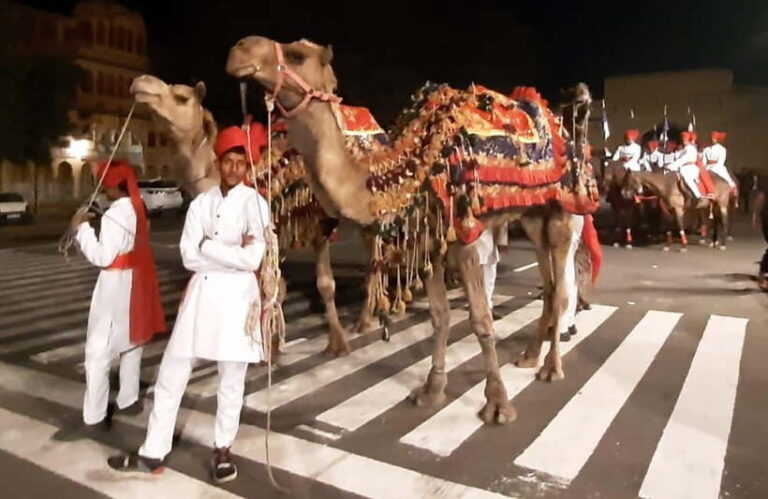 Jaipur: Night Tuk-Tuk Tour With Friendly Local Driver - What Does the Itinerary Look Like?