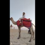 Jaipur to Puskar Same Day trip - Practical Details & Value