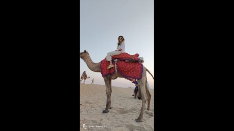 Jaipur to Puskar Same Day trip - Practical Details & Value