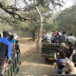 Jaipur to Ranthambore National Park Private One Day Trip - Authenticity & Value