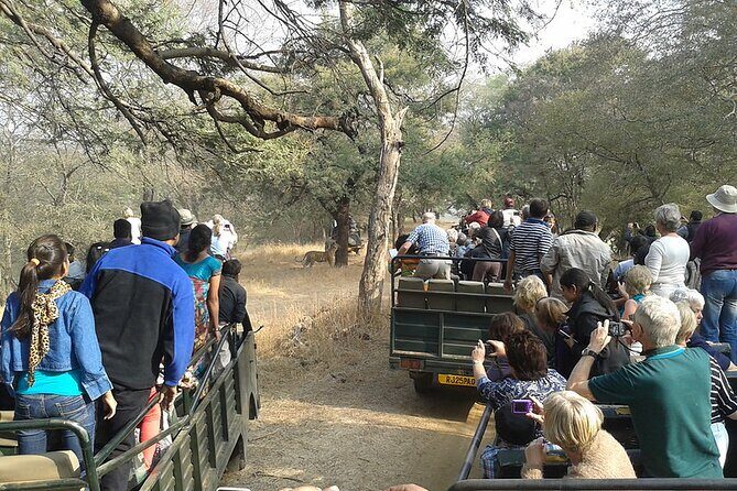 Jaipur to Ranthambore National Park Private One Day Trip - Authenticity & Value