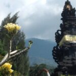 Jakarta Bogor Botanical Garden, Waterfall and Rice terrace, Lunch - FAQs