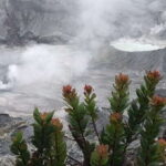 Jakarta: Volcano, Tea/Rice Fields, Hot Spring, Local Food - The Value of This Tour