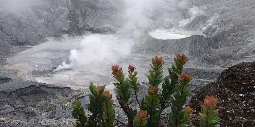 Jakarta: Volcano, Tea/Rice Fields, Hot Spring, Local Food - The Value of This Tour