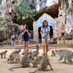 James Bond Island and Phang Nga Bay Tour from Krabi - Practical Aspects and What They Mean for You