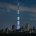 Japan: 7-Day Private Tour with Tokyo, Kamakura, and Osaka - What Travelers Say