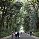 Japan Discovery Tour (12 Days) - Who Should Consider This Tour?