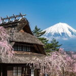 Japan's Best Mount Fuji Tour - What Real Travelers Say
