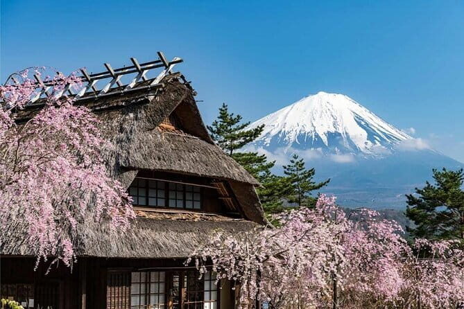 Japan's Best Mount Fuji Tour - What Real Travelers Say