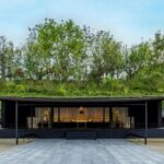 Japan's Dazaifu,Nanzoin and Mountaintop Full Day Private Tour - Transportation and Practicalities