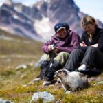 Jasper to Banff One-Way Tour - Who Will Love This Tour?