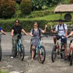 Jatiluwih E-bikes Tour Cycling Group - Value for Money