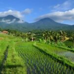 Jatiluwih VW Safari Bali Tour - Volkswagen Classic Car Trip - Is the Tour Worth the Price?