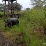 Jeep safari (4-5 hrs., Sharing) inside Chitwan National Park. - What Past Travelers Say