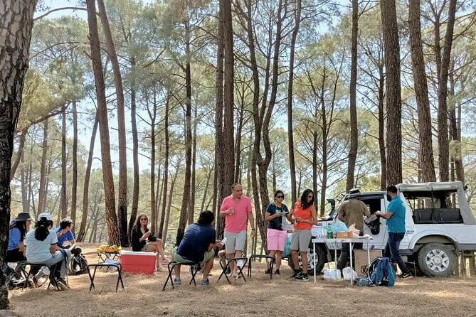 Jeep Safari and Picnic Tour - Insights from the Reviews