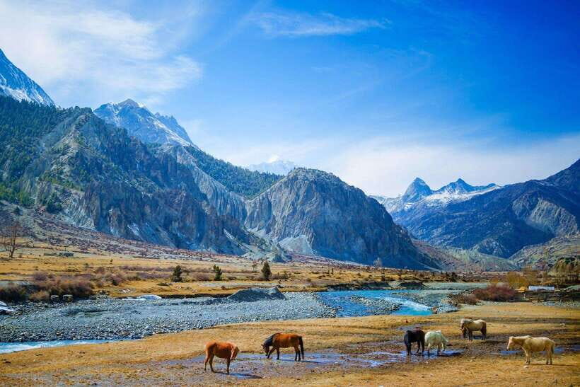 Jeep Trip to Upper Mustang - Who Would Love This Tour?