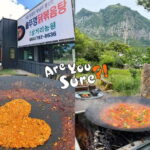 Jeju: BTS Are You Sure?! Filming Locations Private Taxi Tour - The Comfort and Practicalities
