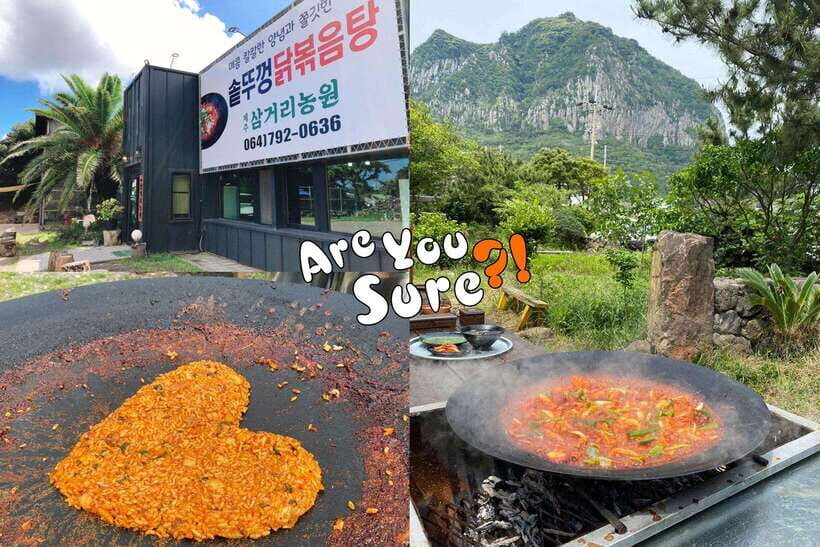 Jeju: BTS Are You Sure?! Filming Locations Private Taxi Tour - The Comfort and Practicalities
