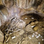 Jeju: customized shore excursions for up to 7 people - Detailed Breakdown of the Itinerary and Experience