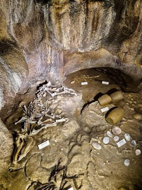 Jeju: customized shore excursions for up to 7 people - Detailed Breakdown of the Itinerary and Experience