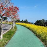 Jeju English Private Taxi Tour(1day, 2days, 3days & 1 to 8pax) - What’s Included and What’s Not