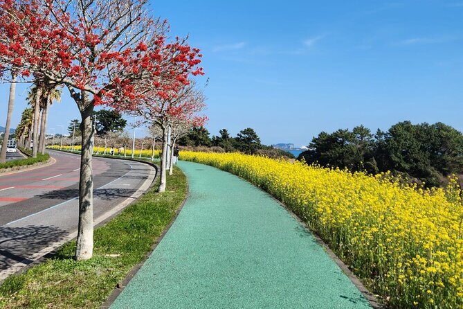 Jeju English Private Taxi Tour(1day, 2days, 3days & 1 to 8pax) - What’s Included and What’s Not