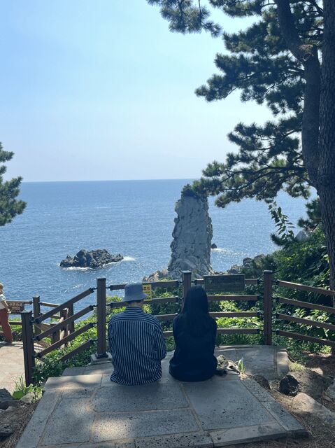 Jeju: Highlight Customized Private tour with Expert Guide - Itinerary Breakdown: What to Expect