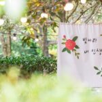 [Jeju Island] Customizable Private Taxi Tour - Final Verdict: Who Is This Tour Best For?