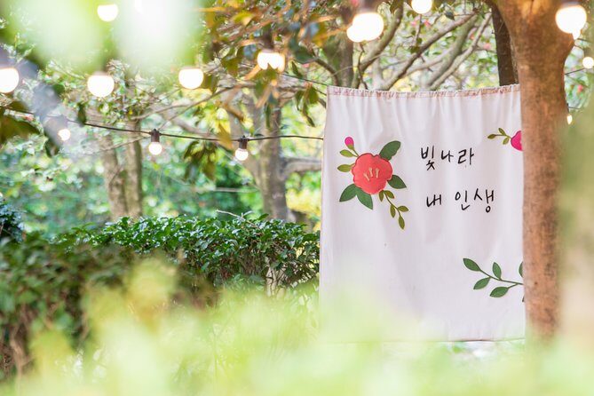 [Jeju Island] Customizable Private Taxi Tour - Final Verdict: Who Is This Tour Best For?