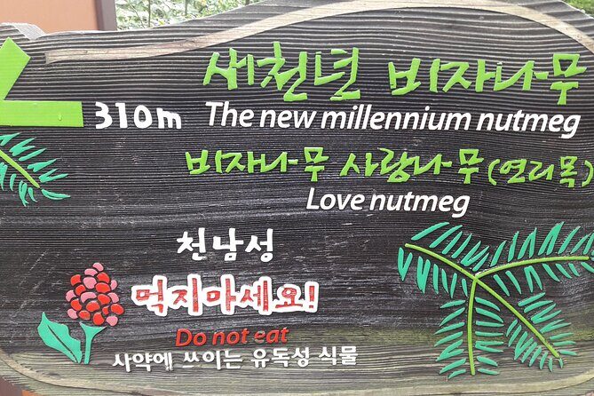 Jeju island private DAY Tour - South of Jeju - Detailed Review: What to Expect on Your Journey