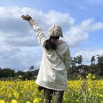 Jeju island Southern Unesco Mt.halla ONE day Bus Tour - Practical Details: What Travellers Should Expect